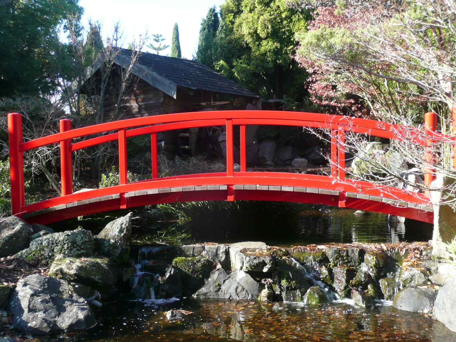 About Us – Australian Society of Ju-Jitsuans